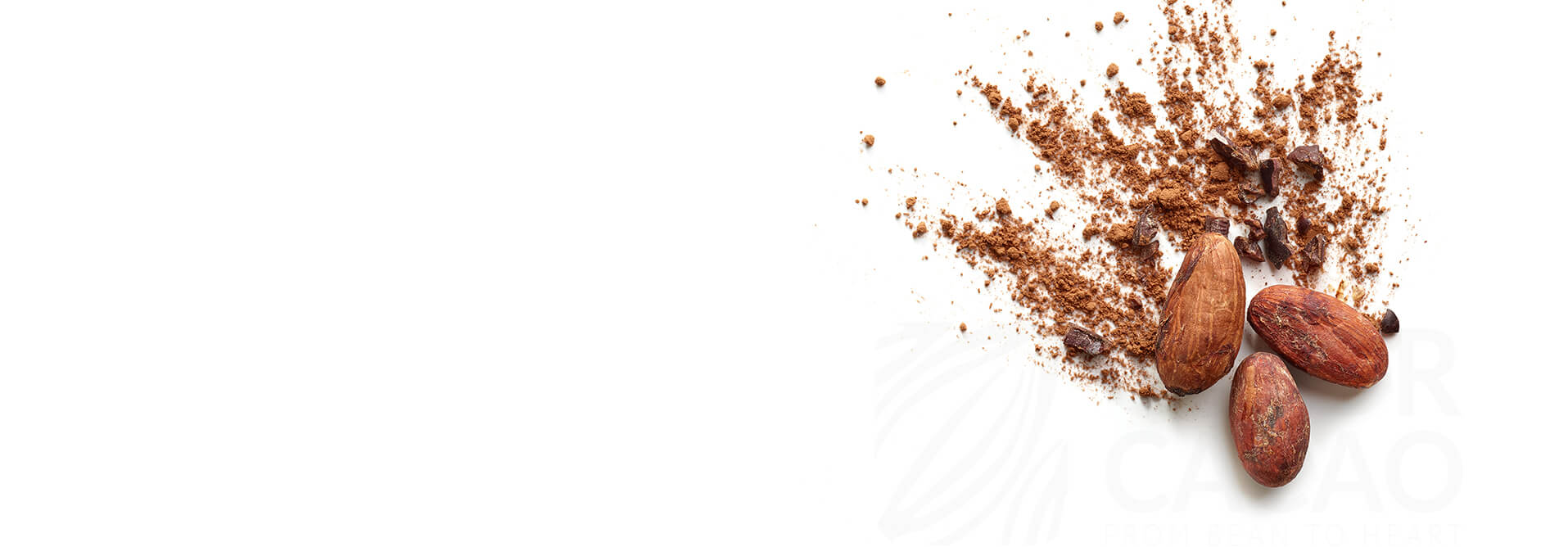 Cacao de Origen Coco - Color Cacao